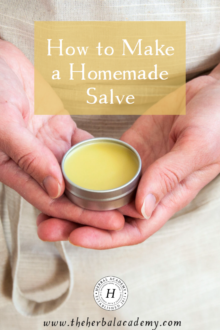 How To Make a Homemade Salve – Herbal Academy