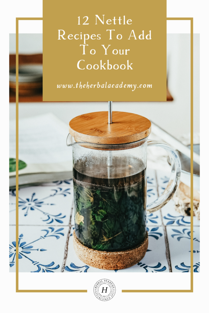 12 Nettle Recipes To Add To Your Cookbook