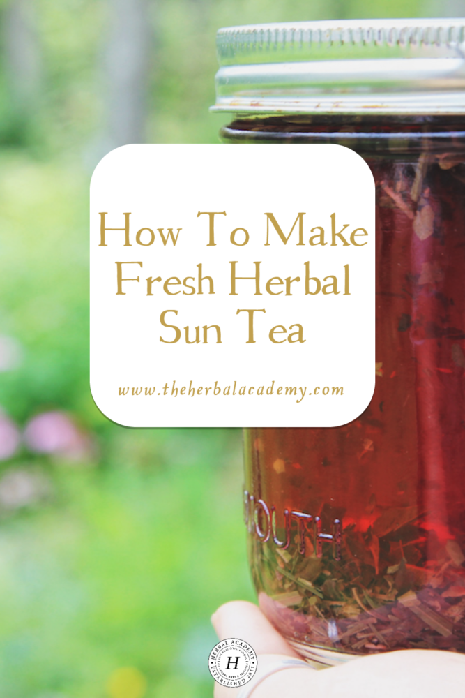 How To Make Fresh Herbal Sun Tea – Herbal Academy
