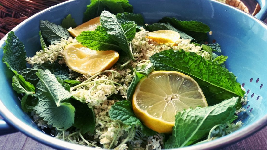 Unlock the Power of Mint: A Family-Friendly Herb – Herbal Academy