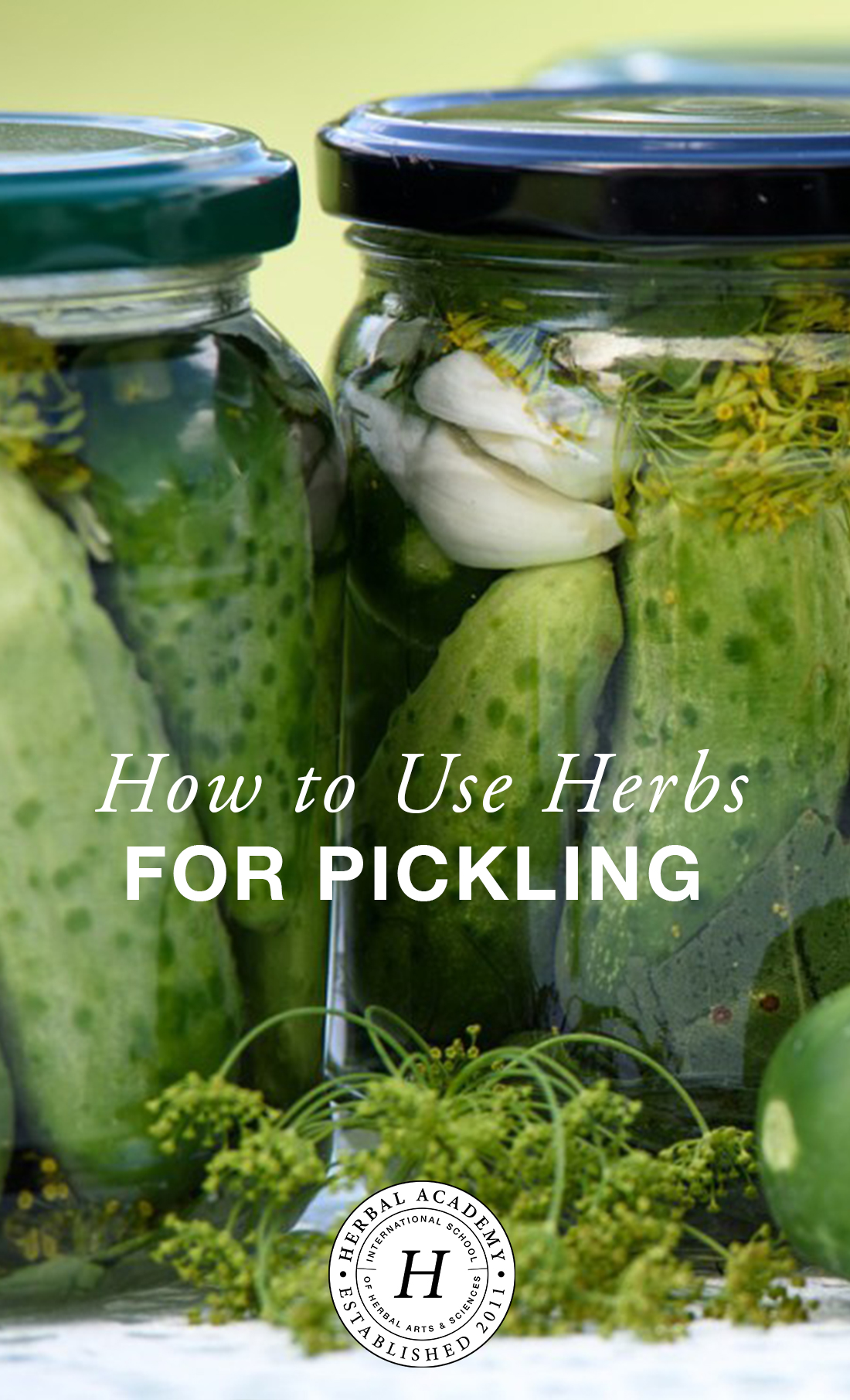 How To Use Herbs For Pickling – Herbal Academy