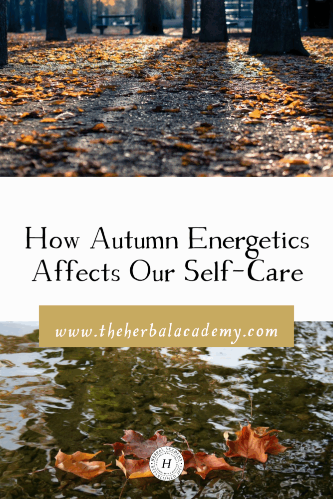 How Autumn Energetics Affect Our Self-Care – Herbal Academy