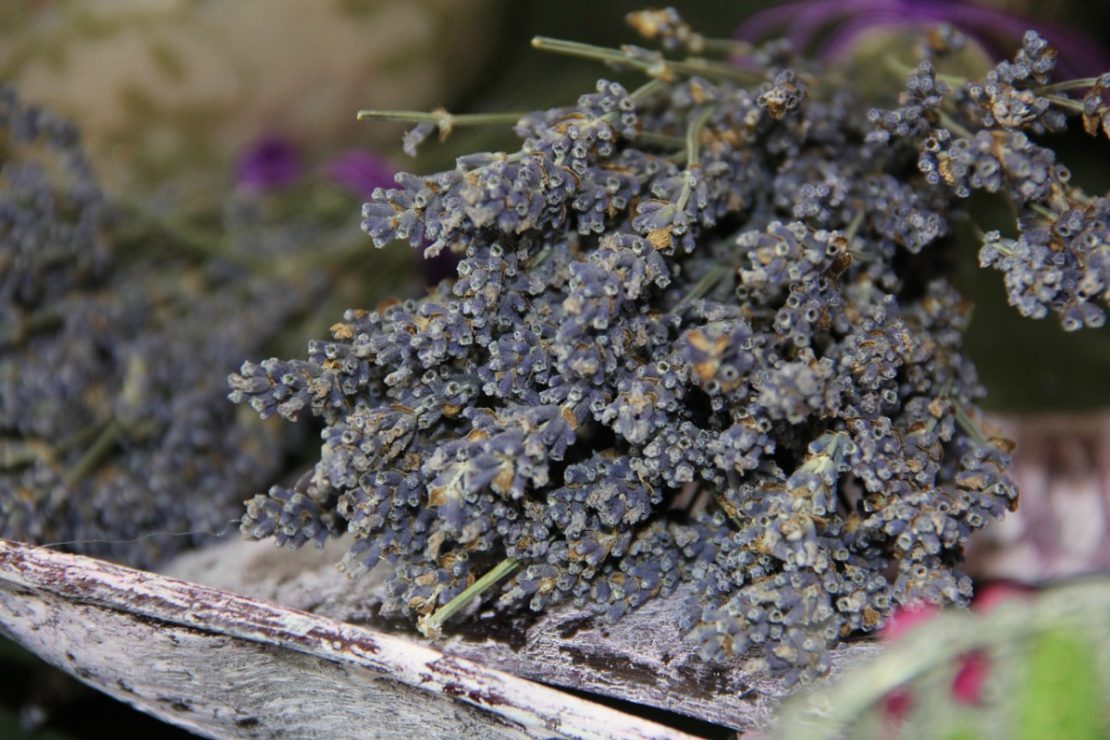 What Everybody Ought To Know About Flower Water