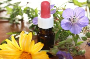 How to Make Herbal Ear Drops – Herbal Academy