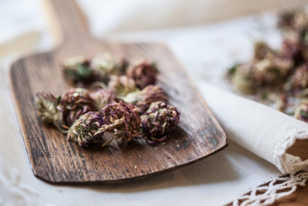 6 Ways to Display Dried Herbs in Your Fall Home Décor – Herbal Academy