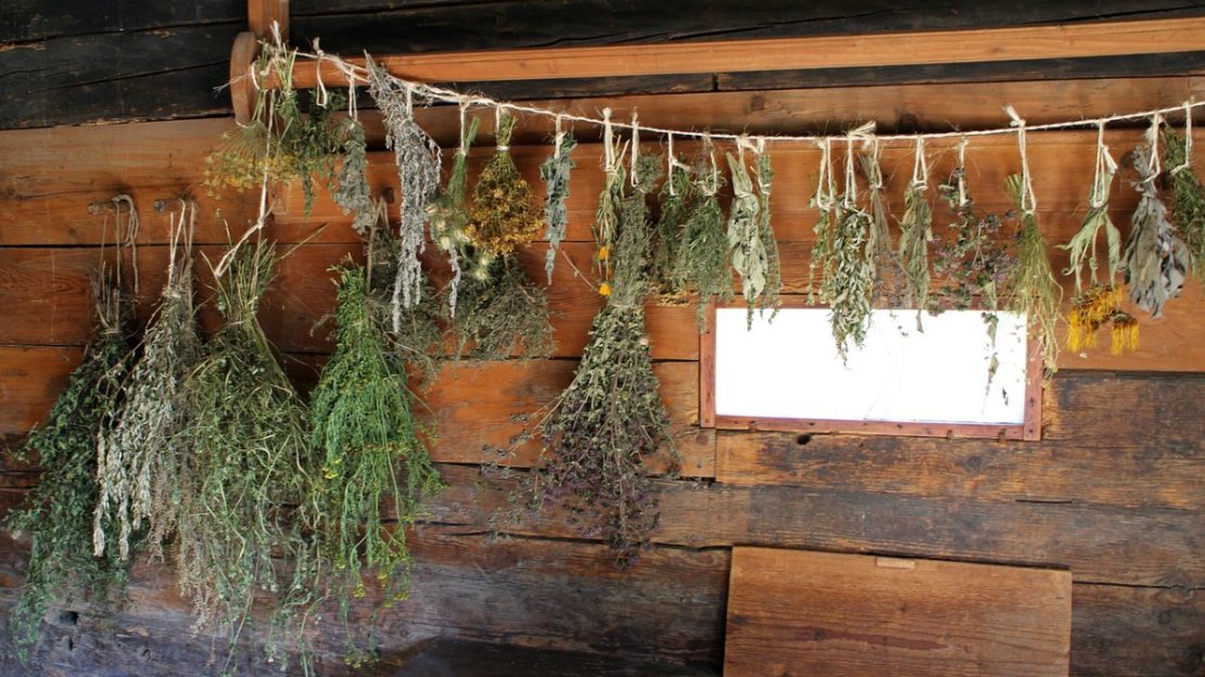 6 Ways to Display Dried Herbs in Your Fall Home Décor – Herbal Academy