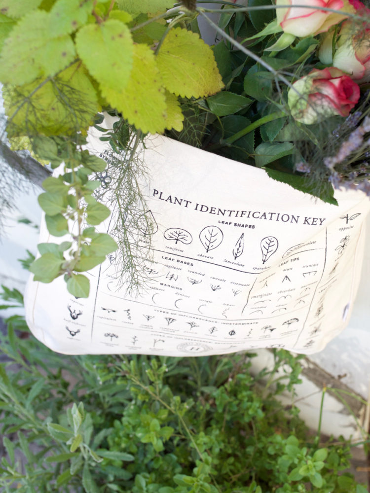 Plant Identification Foraging Tote Bag – 100% Organic Cotton