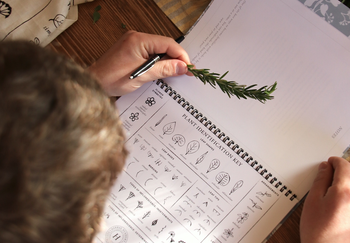Free Pages For Your Materia Medica Herbal Academy