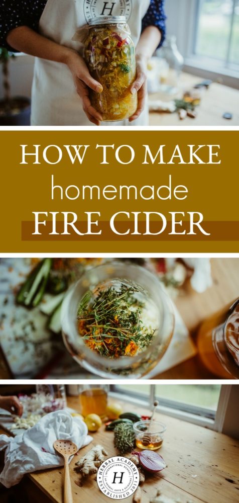 How To Make Homemade Fire Cider (With Video!) – Herbal Academy