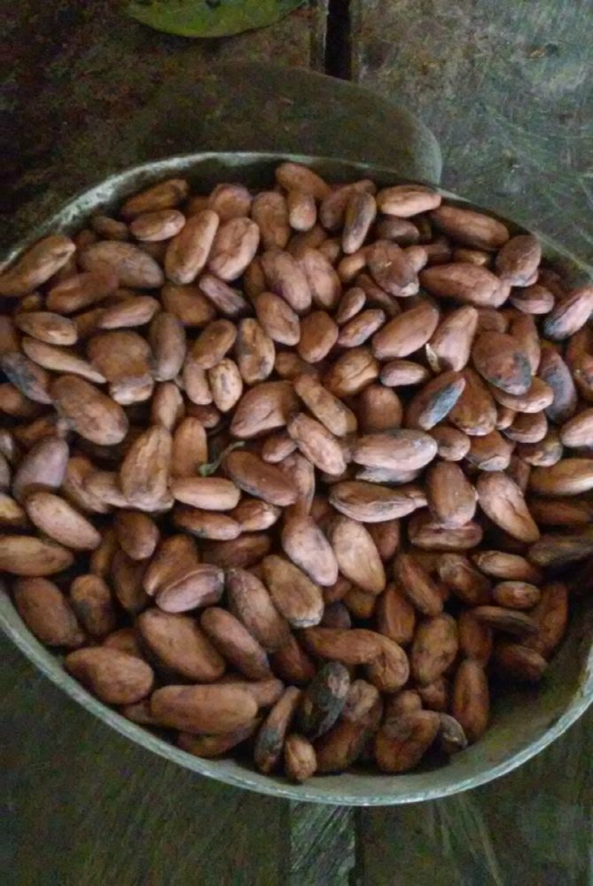 How To Make Herbal Hot Chocolate (3 Recipes!) – Herbal Academy