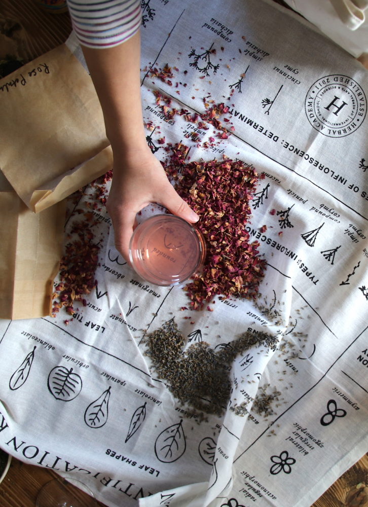 Now Enrolling: The Craft of Herbal Fermentation