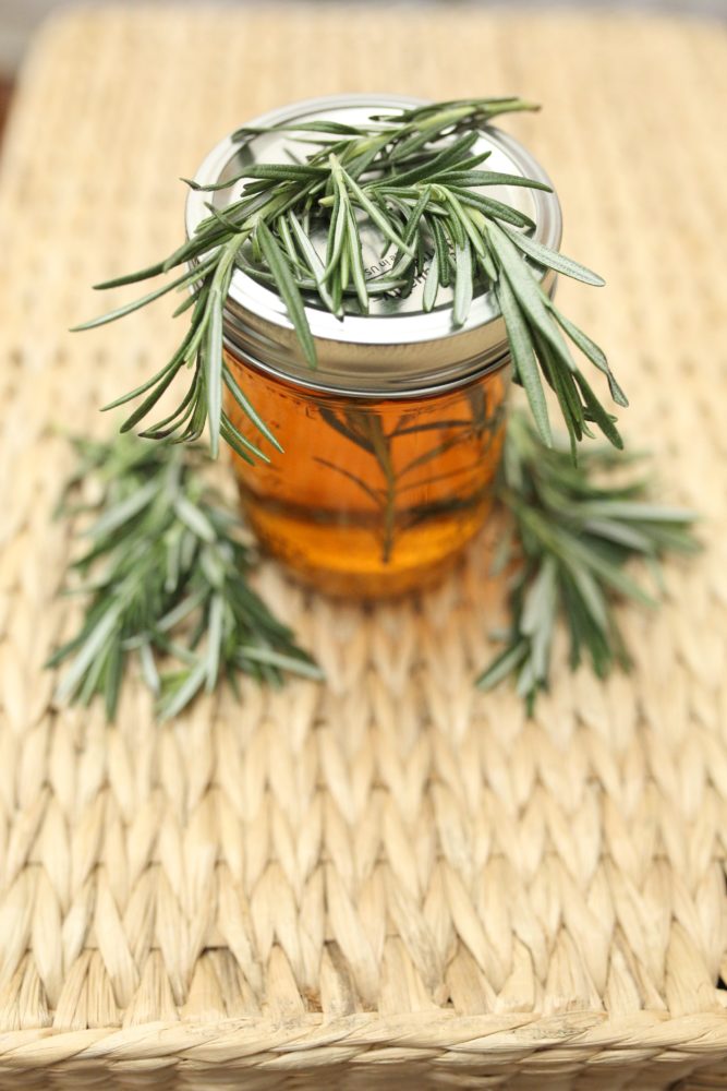 DIY Rosemary Memory Elixir – Herbal Academy