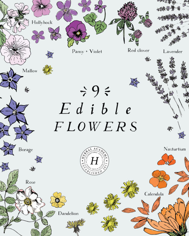 9 Edible Flowers And How To Use Them – Herbal Academy