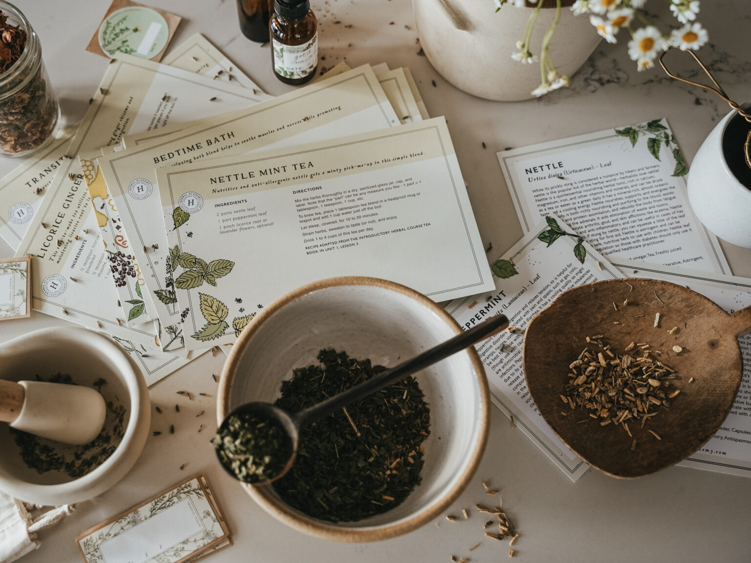 The Herbal Starter Kit – start using herbs today!