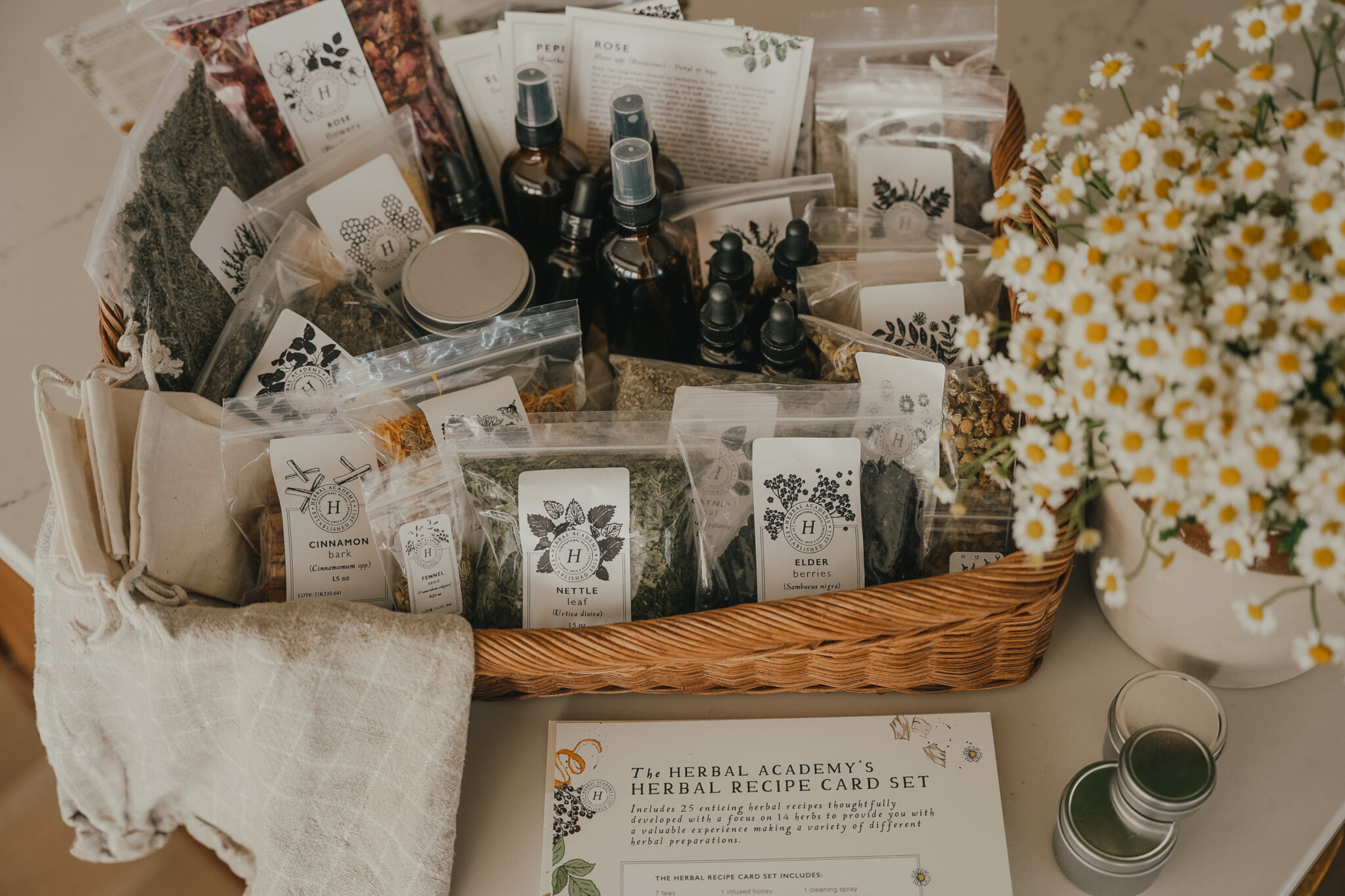 The Herbal Starter Kit – start using herbs today!