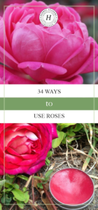 34 Ways To Use Roses – Herbal Academy