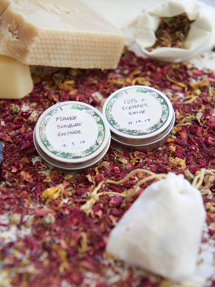 Herbal Tin Container Set – Herbal Academy