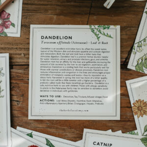 Mini Plant Monograph Cards - Set of 14 – Herbal Academy