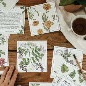 Mini Plant Monograph Cards - Set of 14 – Herbal Academy