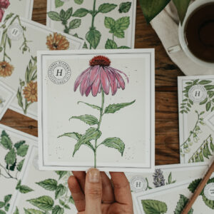 Mini Plant Monograph Cards - Set of 14 – Herbal Academy