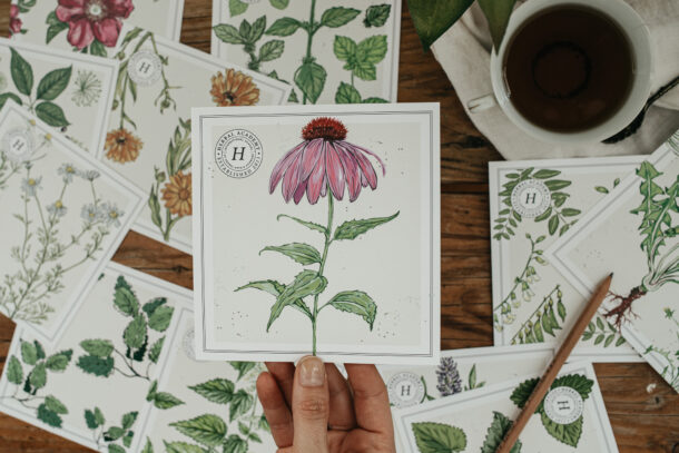 Mini Plant Monograph Cards - Set of 14 – Herbal Academy