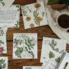 Mini Plant Monograph Cards - Set of 14 – Herbal Academy