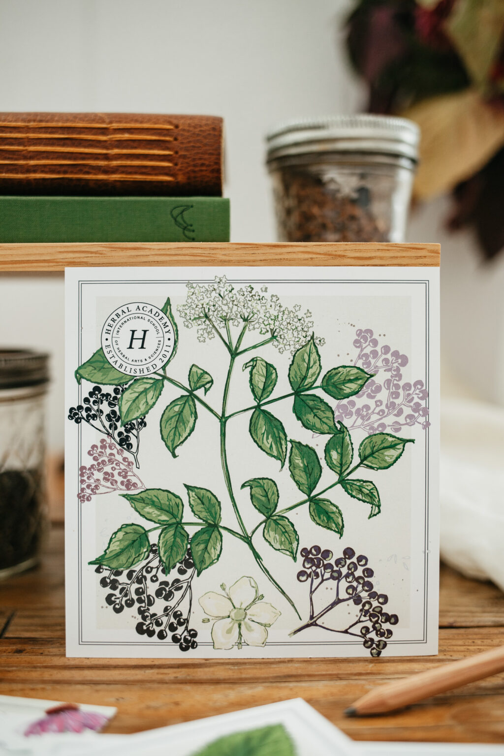 Mini Plant Monograph Cards - Set of 14 – Herbal Academy