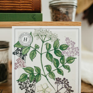 Mini Plant Monograph Cards - Set of 14 – Herbal Academy