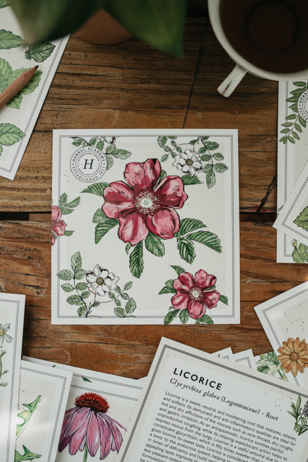 Mini Plant Monograph Cards - Set of 14 – Herbal Academy