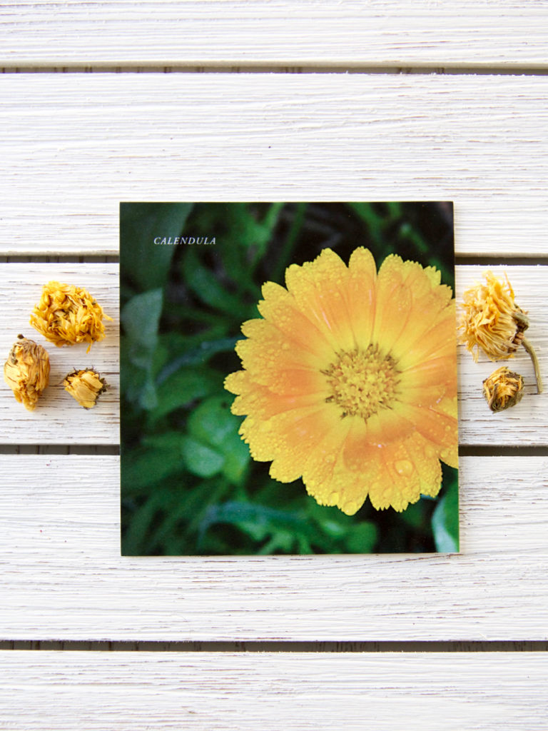 Mini Plant Monograph Cards - Set of 14 – Herbal Academy