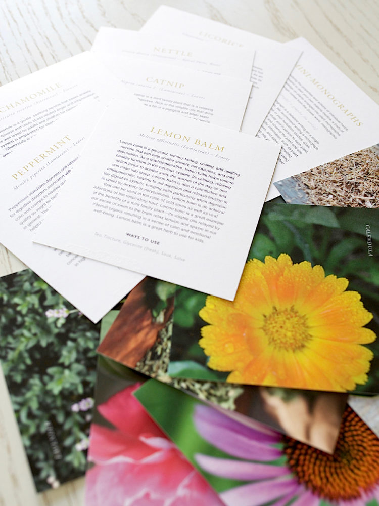 Mini Plant Monograph Cards - Set of 14 – Herbal Academy