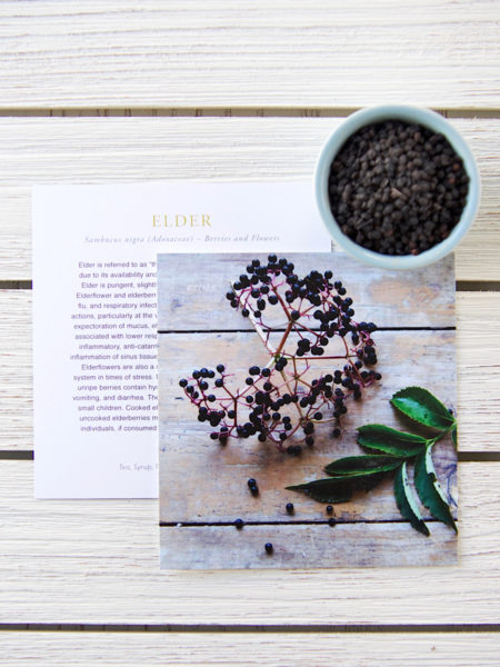 Mini Plant Monograph Cards - Set of 14 – Herbal Academy