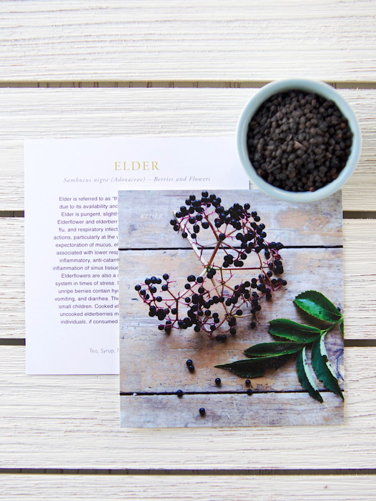 Mini Plant Monograph Cards - Set of 14 – Herbal Academy