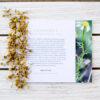 Mini Plant Monograph Cards - Set of 14 – Herbal Academy