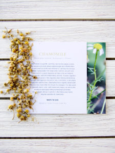 Mini Plant Monograph Cards - Set of 14 – Herbal Academy