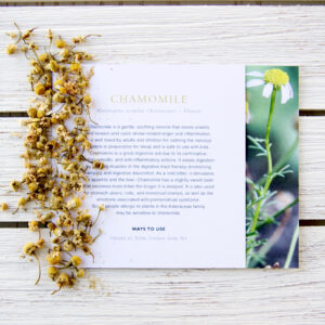Mini Plant Monograph Cards - Set of 14 – Herbal Academy