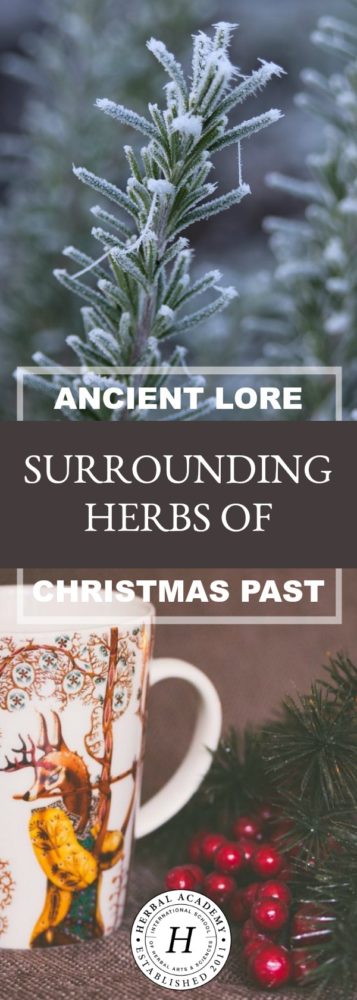 Ancient Lore Surrounding Herbs of Christmas Past – Herbal Academy