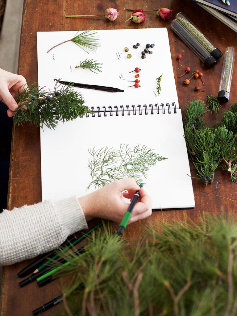 Course Extensions Archives – Herbal Academy