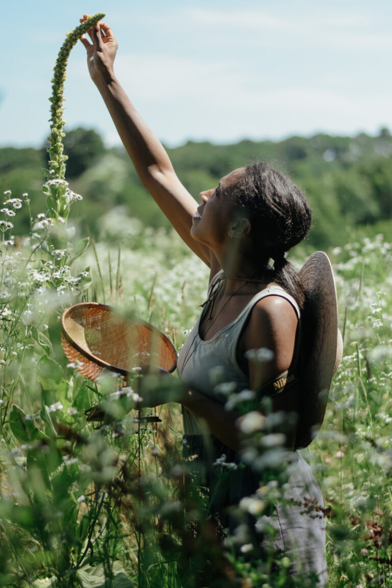 Botany & Wildcrafting Course – Herbal Academy