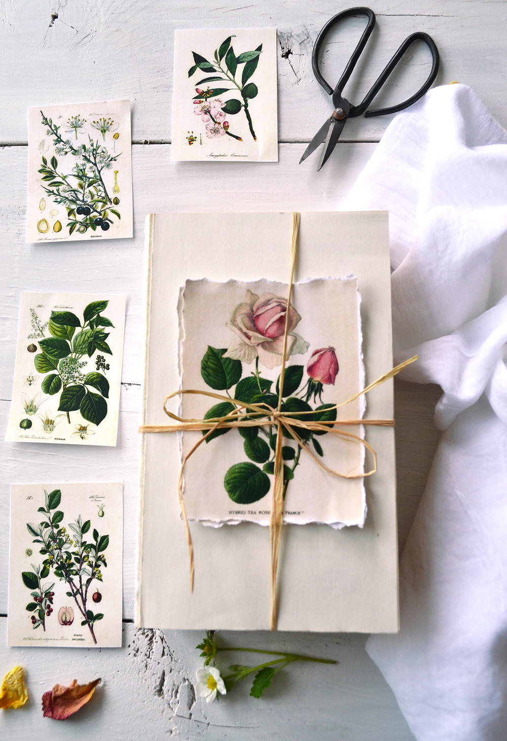 Free Botanical Thank You Card Downloads! – Herbal Academy