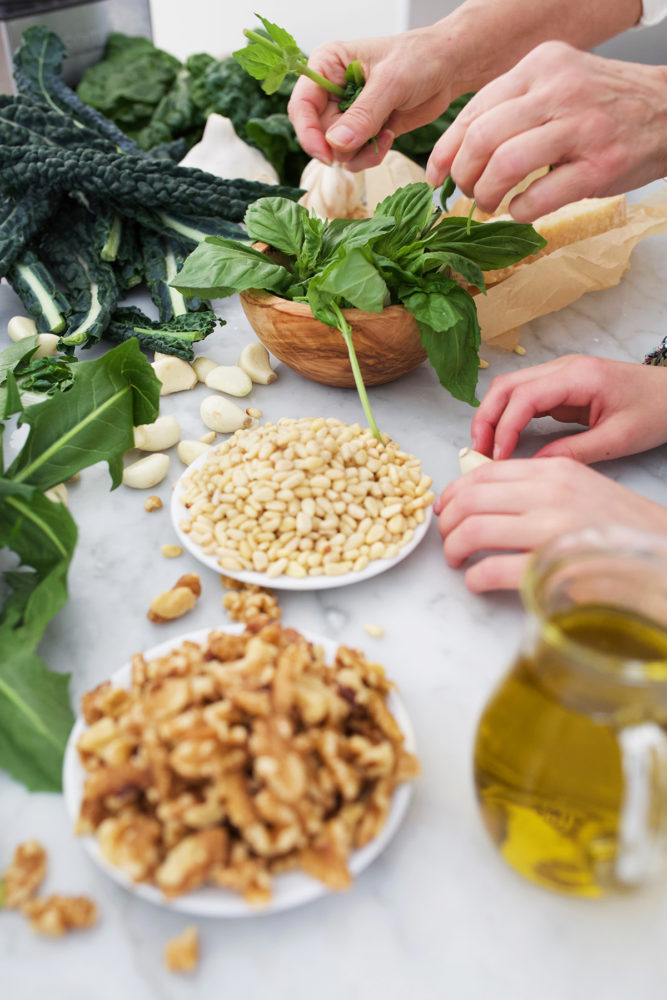 6 Basil Varieties & What You Should Know About Them