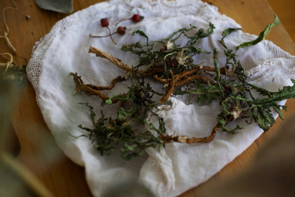 Herbalism: A History - How Herbalists Of The Past Paved The Way For Today