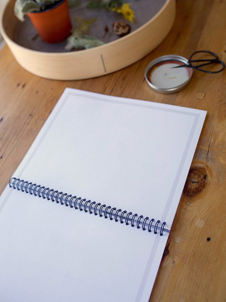 Botanical Illustrations Workbook – Coloring Book & Monographs