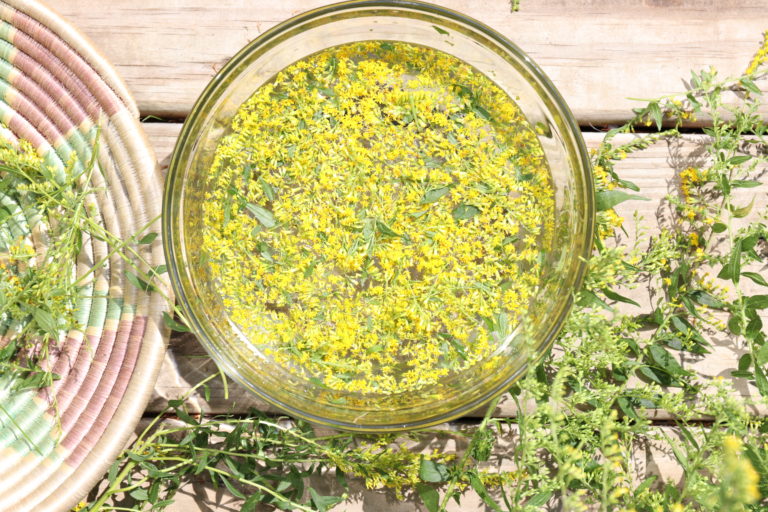 How to Make A Homemade Flower Essence – Herbal Academy