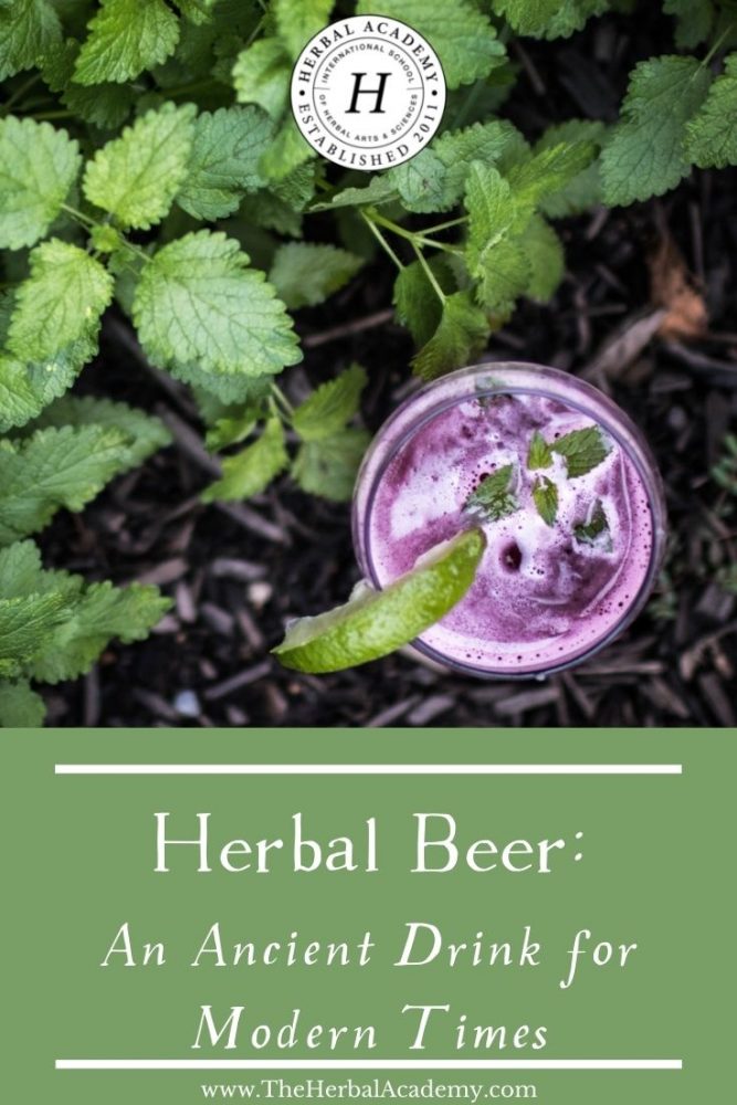 Herbal Beer: An Ancient Drink for Modern Times – Herbal Academy