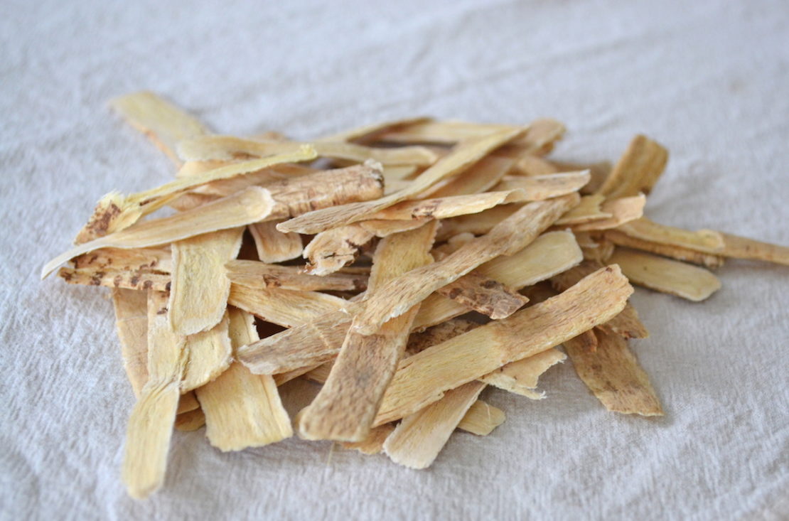 Online Introductory Herbal Course Lesson Preview