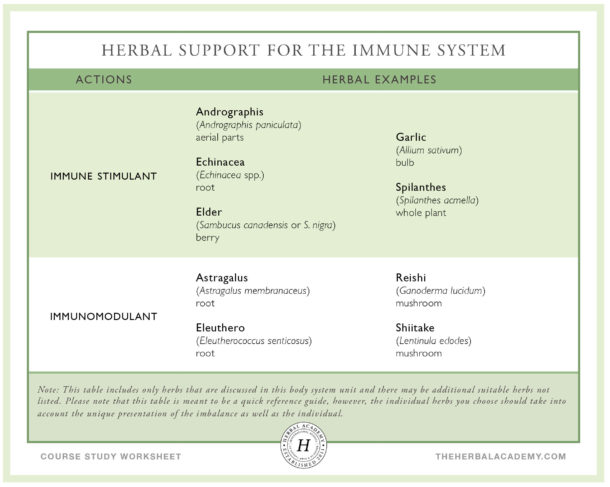 Online Introductory Herbal Course Lesson Preview