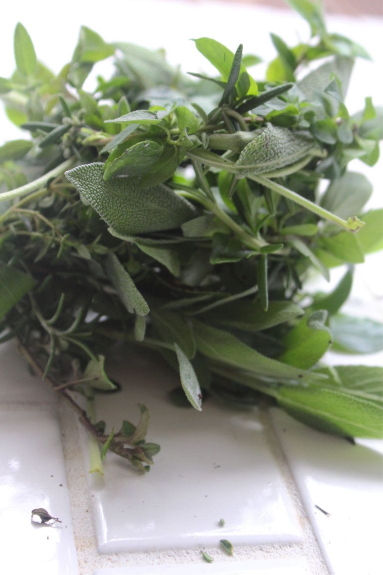 How To Make DIY Herbal Soup Rings – Herbal Academy