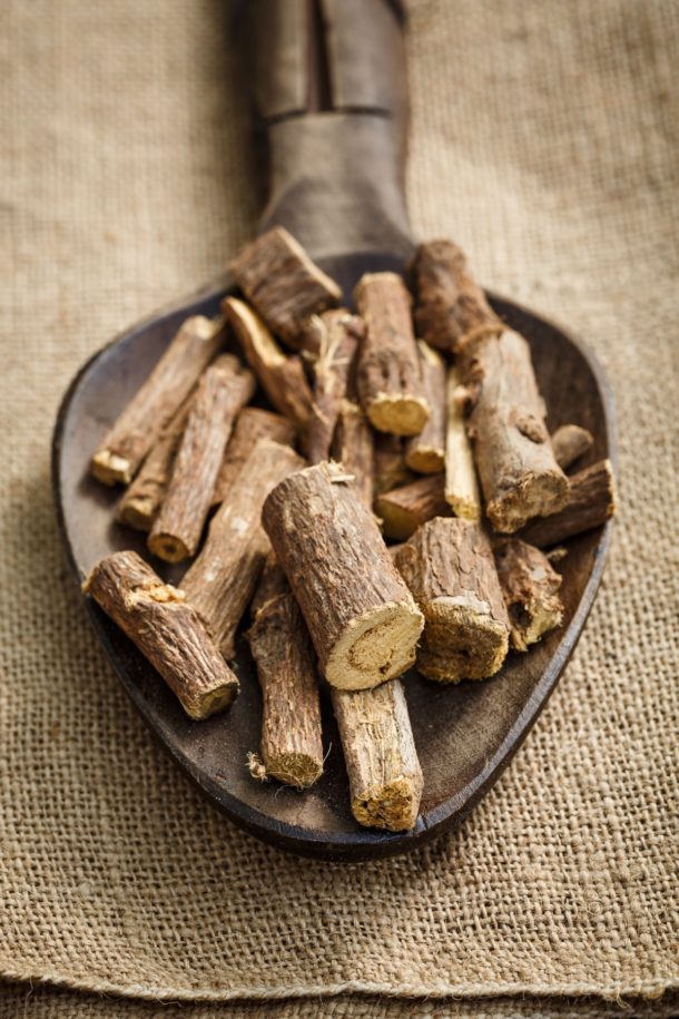 Herbal Roots 101: How to Prepare and Use Roots for Wellness