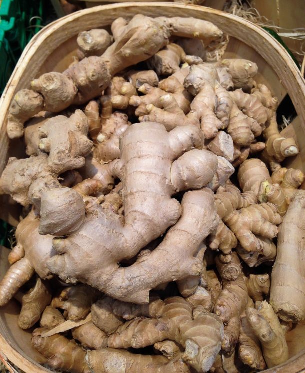 Herbal Roots 101: How to Prepare and Use Roots for Wellness
